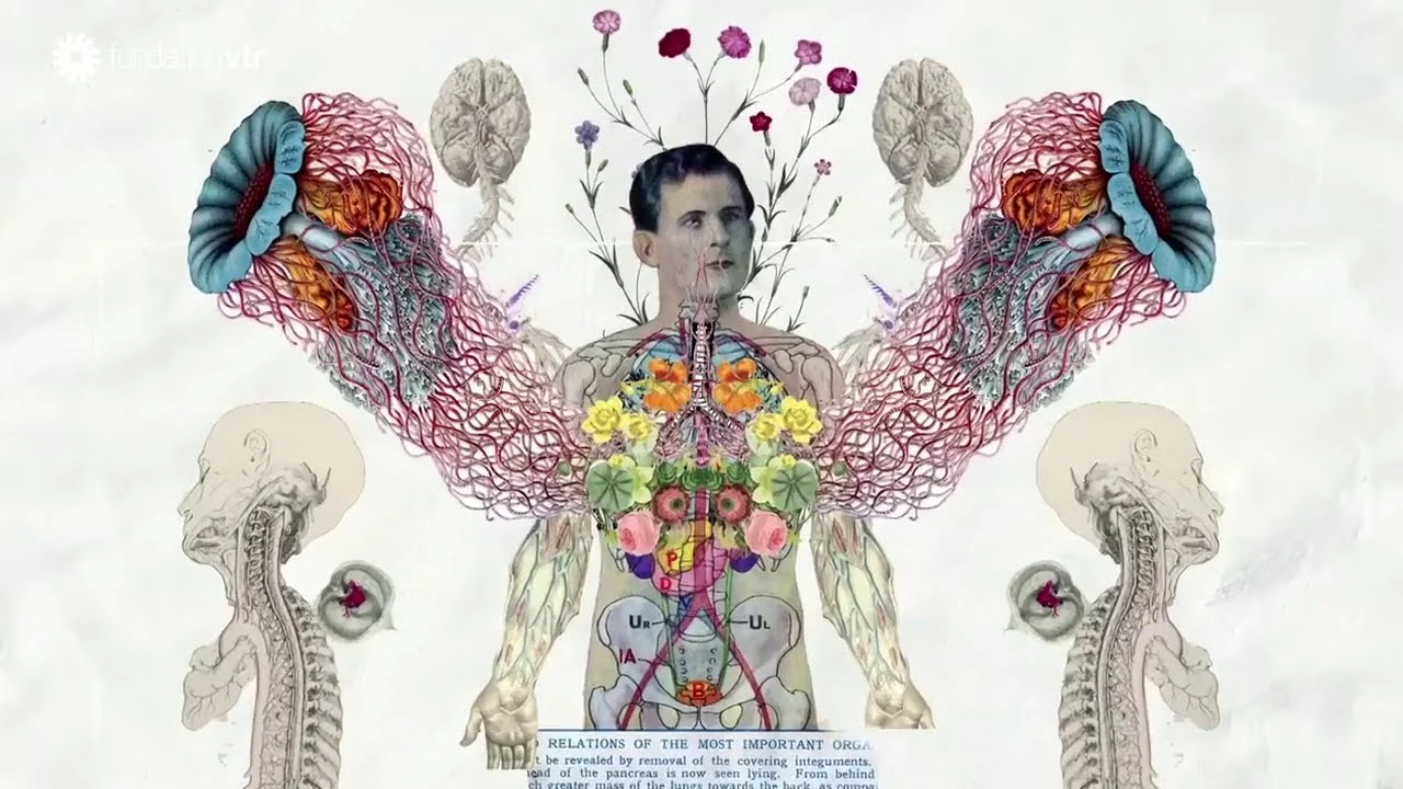 LA AUTOPOIESIS Y LA TEORÍA GENERAL DE SISTEMAS