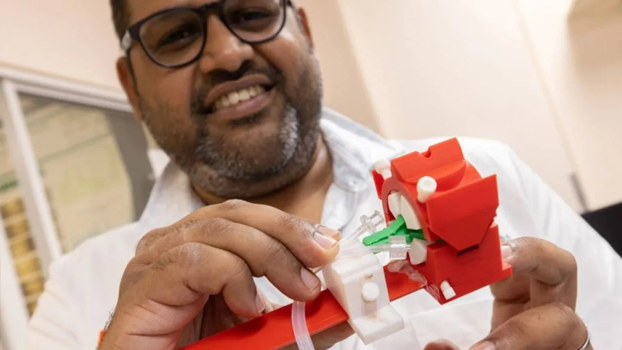El eye-ECMO: Un avance que acerca el primer trasplante completo de ojo ...